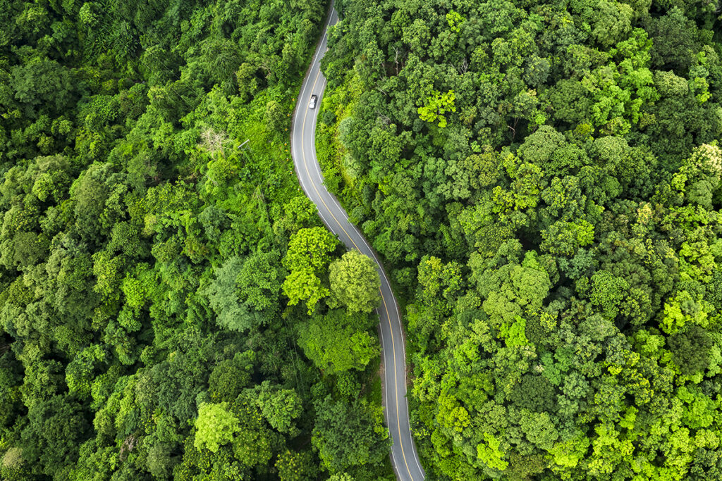 Food-Grade Packaging Beyond Specifications | Hidden System Costs Explained